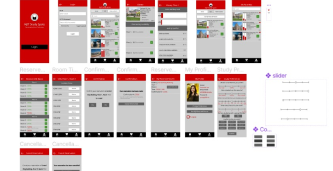 Julia Sklodowska's Project Page